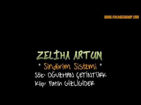 Sindirim Sistemi Şarkısı (5.sınıf)