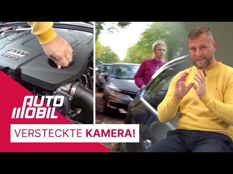 Gebrauchtwagenkauf mit Profi - Anni und Enrico in Berlin | auto mobil