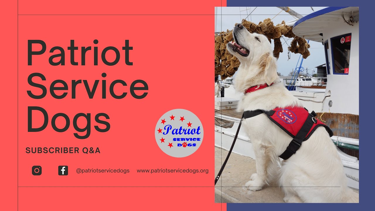 Patriot Service Dogs First Q&A - YouTube