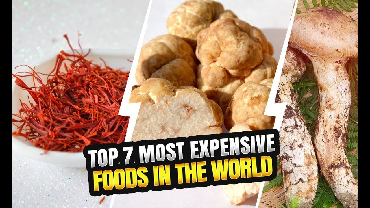 Discover the World's Most Luxurious Foods: Top 7 Revealed! - YouTube