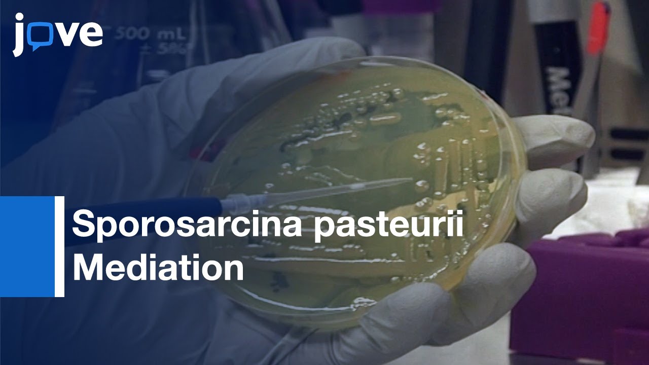 Sporosarcina Pasteurii Agar