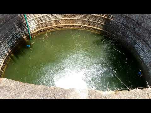 indian swimming in deep well - Swimming jump stunt - YouTube