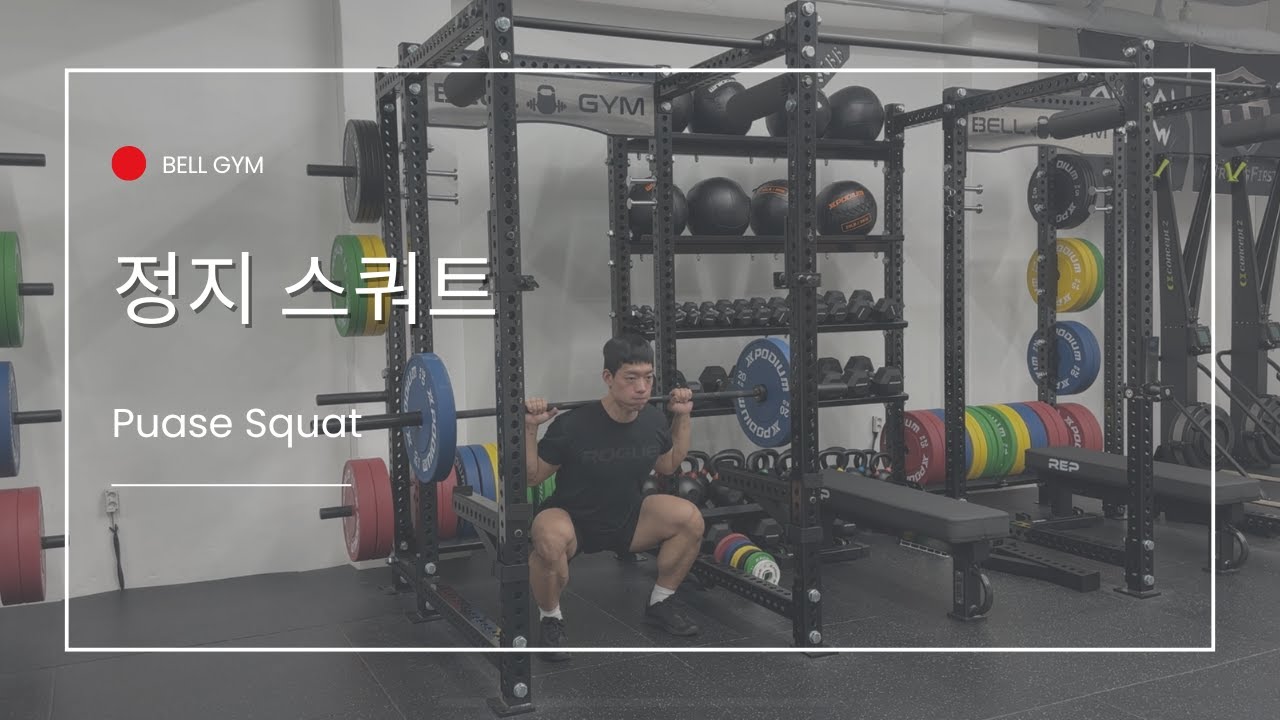 [벨짐] 바벨리프팅 | 정지 스쿼트 (Puase Squat) - YouTube