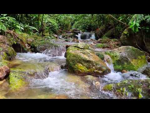 Calm River Flow Ambience For Deep Focus & Smooth Study Energy 4K • 1 Hour River Stream Ambience