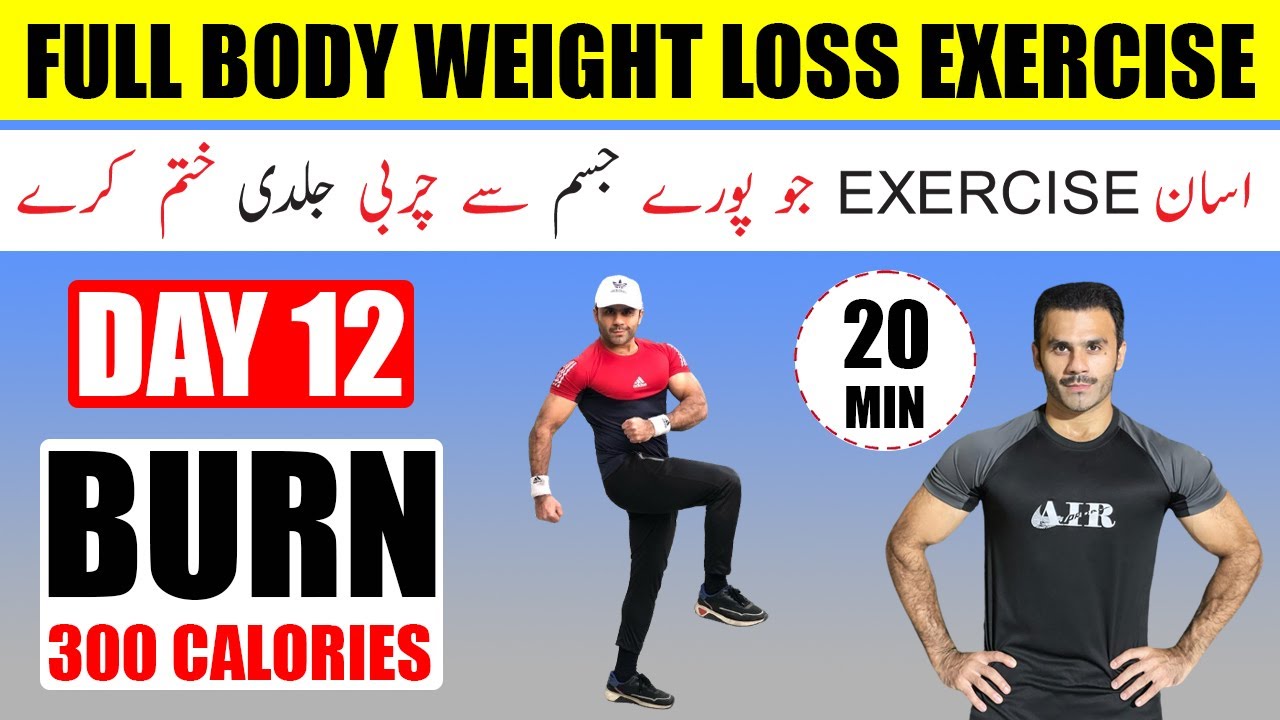 Day 12 Exercise | 20 Minutes Full Body Weight Loss Exercise | Body ...