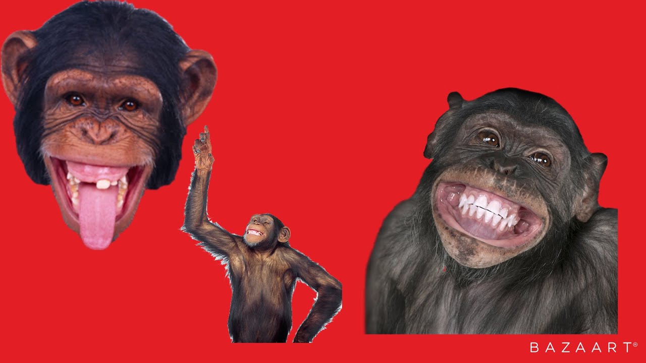 I say monkey for four minutes - YouTube