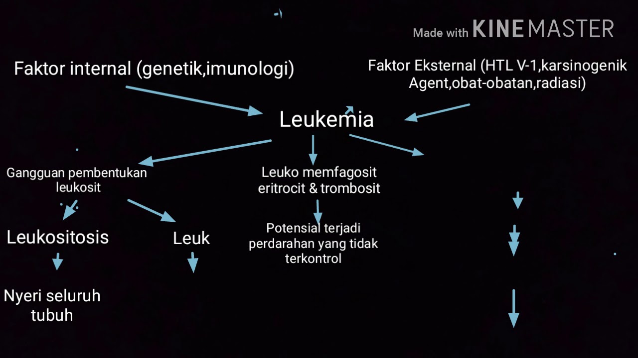 SATRIANI_21706278_PATOFISIOLOGI LEUKEMIA_STIKMKS - YouTube