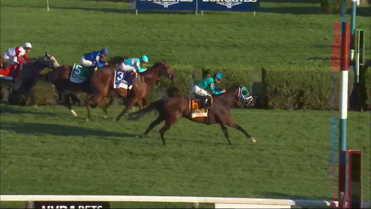 The Lady Eli Story with Sol Kumin and Jay Hanley - YouTube