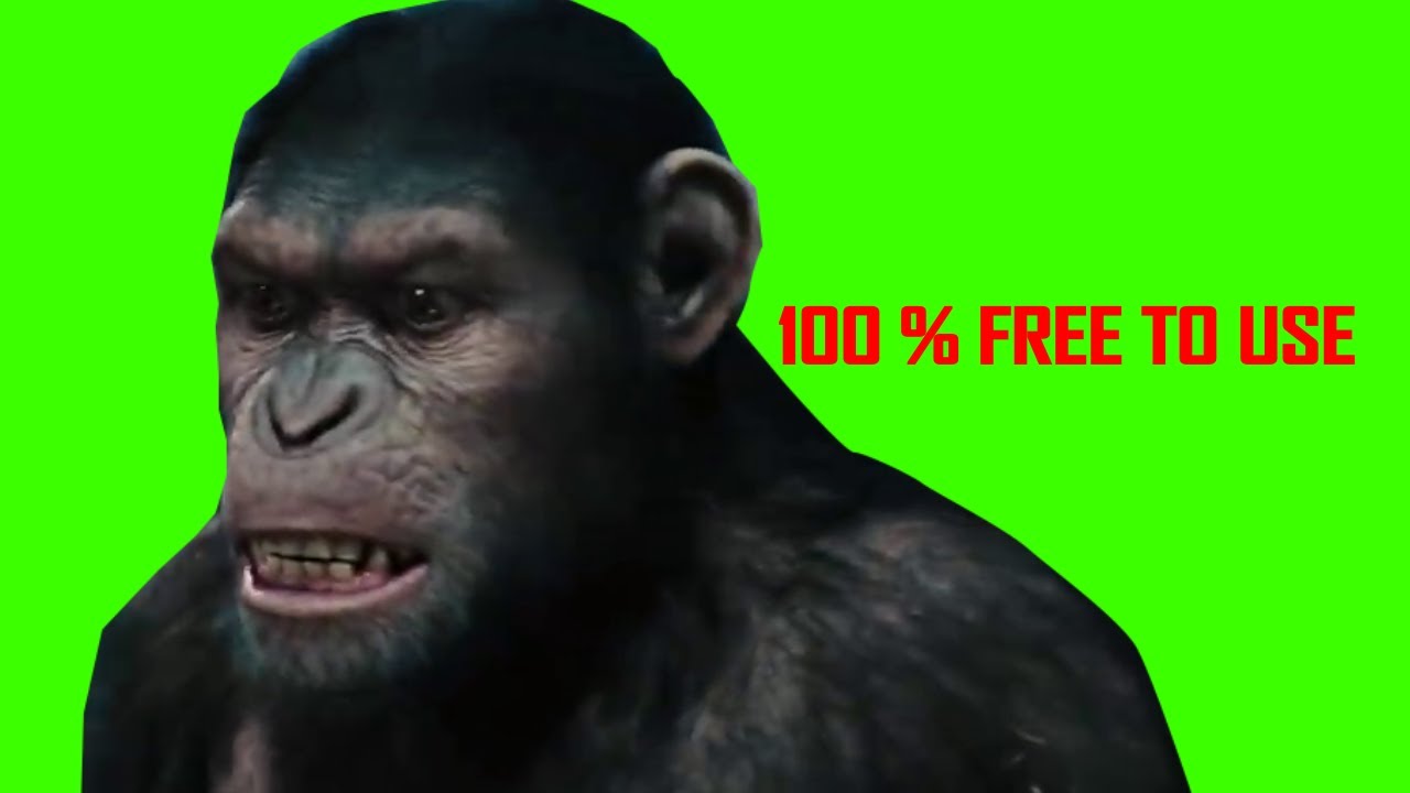 PLANET OF THE APES GREEN SCREEN HD/KIDS IDEA ANGATHAN - YouTube