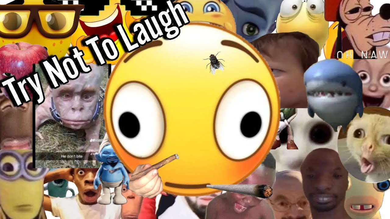 Try Not To Laugh!!! #4 - YouTube