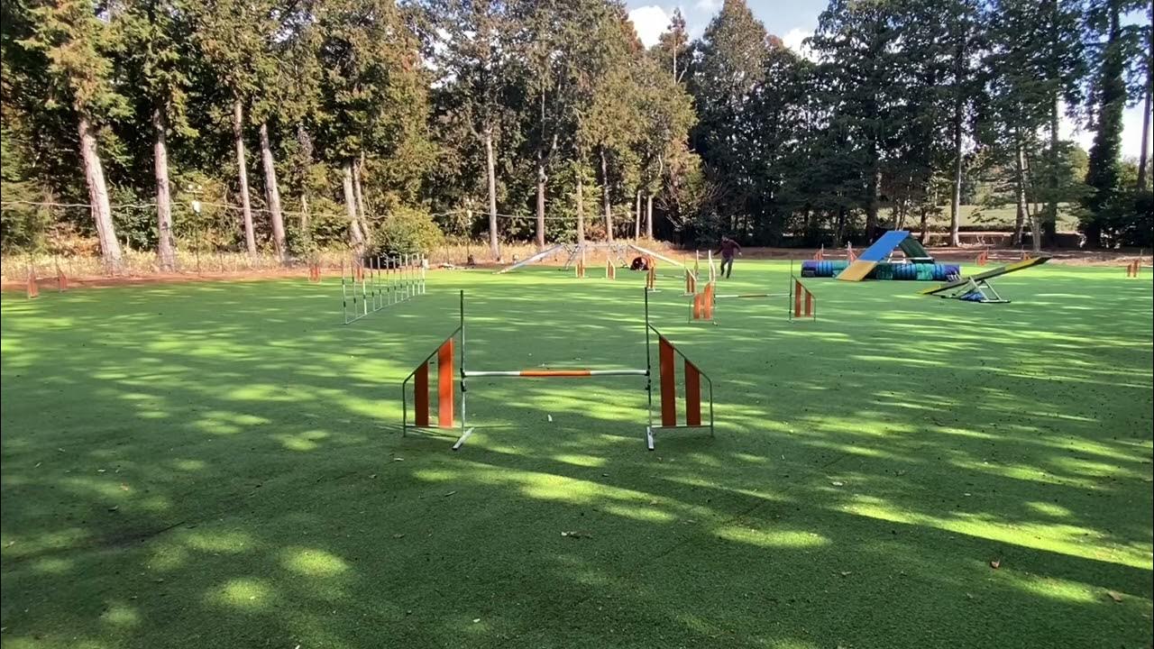 2025.1.29 KIINA - YouTube