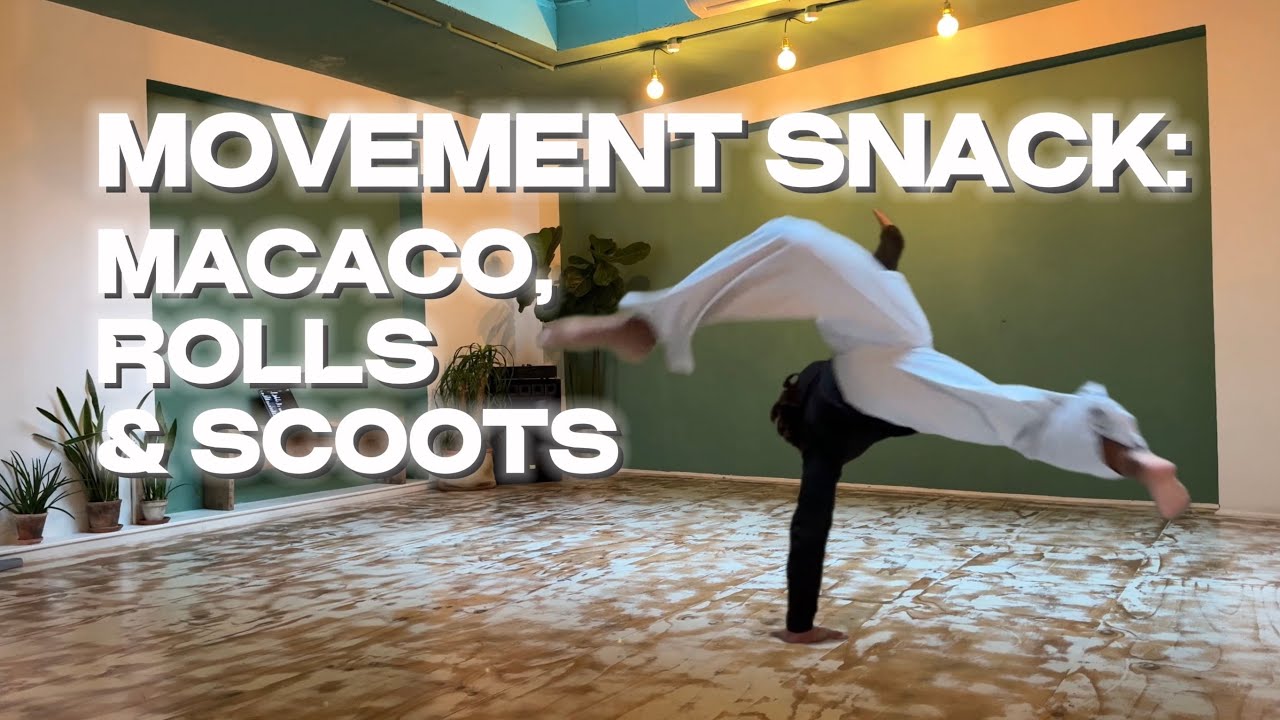 MOVEMENT SNACK: MACACO, ROLLS & SCOOTS - YouTube