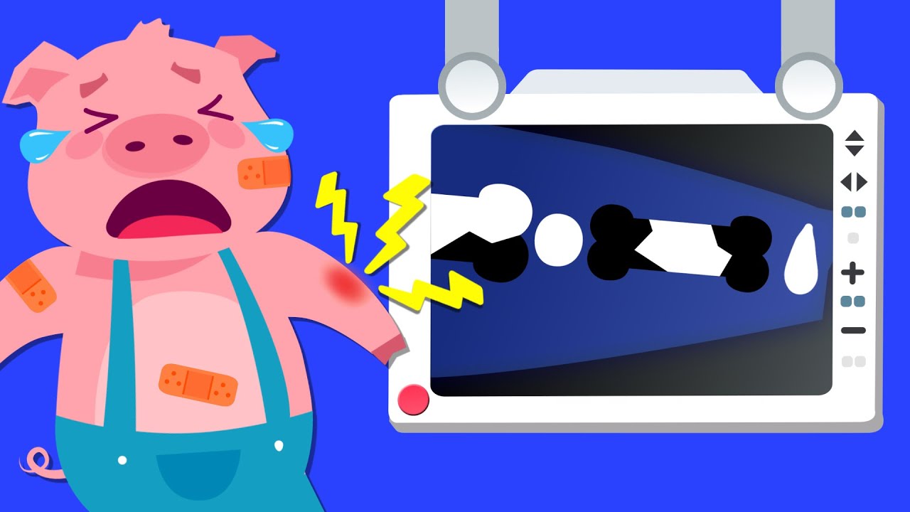 Fun Animal Cure In Hospital | Doctor Cartoon | Hospital play | Cartoon ...