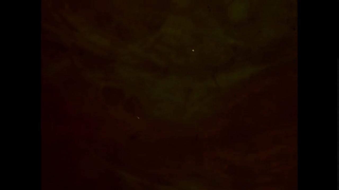 Pilot hulkout 1 part 1 - YouTube