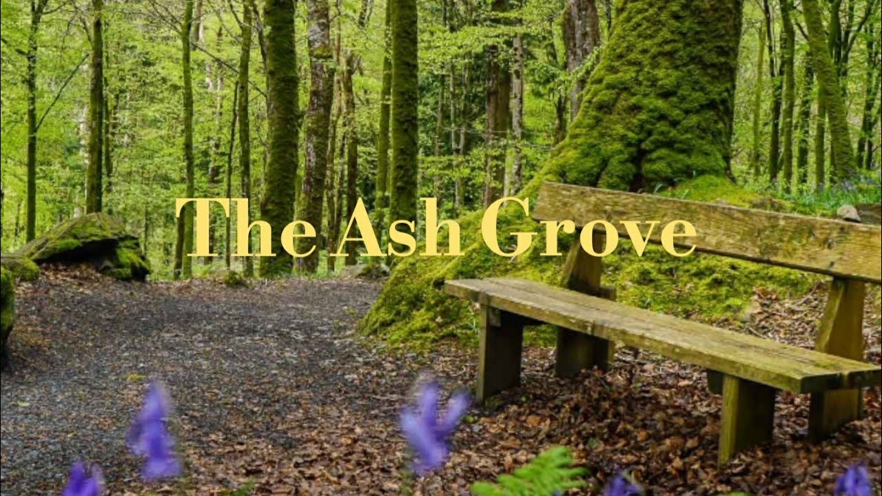 The Ash Grove (Welsh traditional folk melody) David Franzen Guitar ...