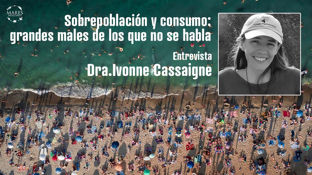 Sobrepoblación y consumo: GRANDES males de los que no se habla - YouTube