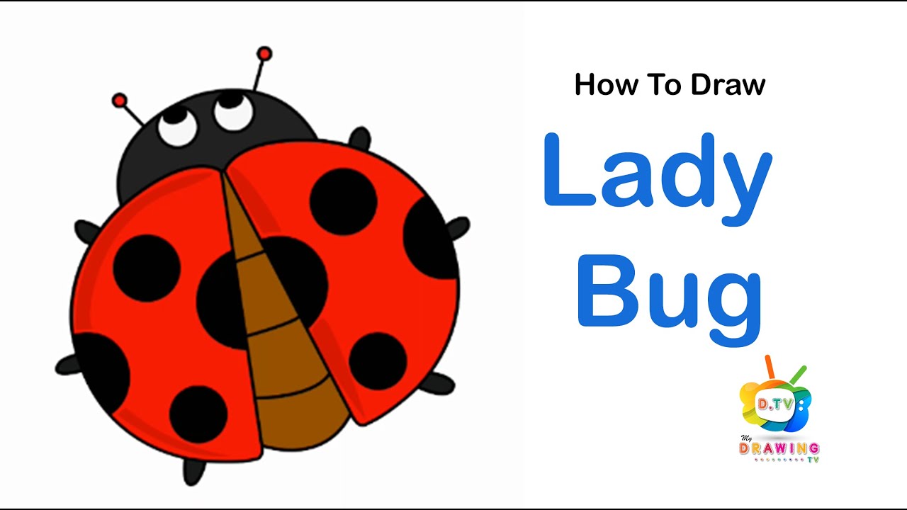 How To Draw A Lady Bug | Easy Drawing Step By Step | #64 - YouTube