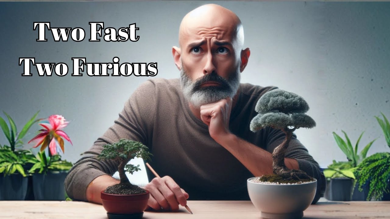 Pyracantha Vs Cotoneaster Bonsai (Bonsai Diary) #71 - YouTube