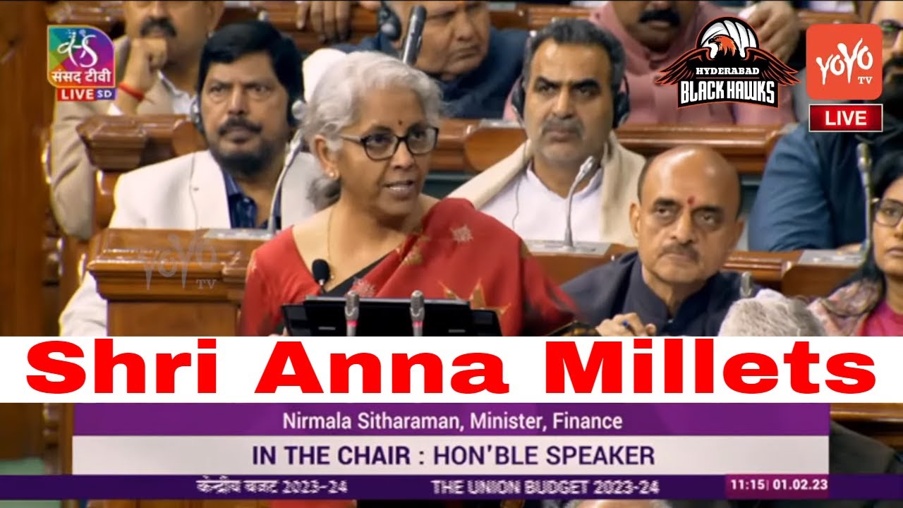 Nirmala Sitharaman On Shri Anna Millets | Good News To Farmers | Budget ...