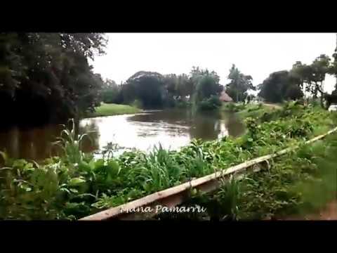 On The Way to Pamarru | Krishna Dist | Mana Pamarru - YouTube