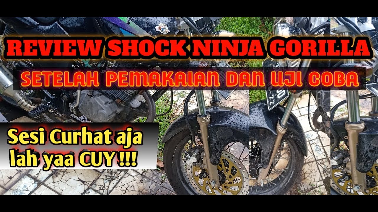 REVIEW SHOCK NINJA GORILA SETELAH PEMAKAIAN // Sesi Curhat aja lah yaa ...