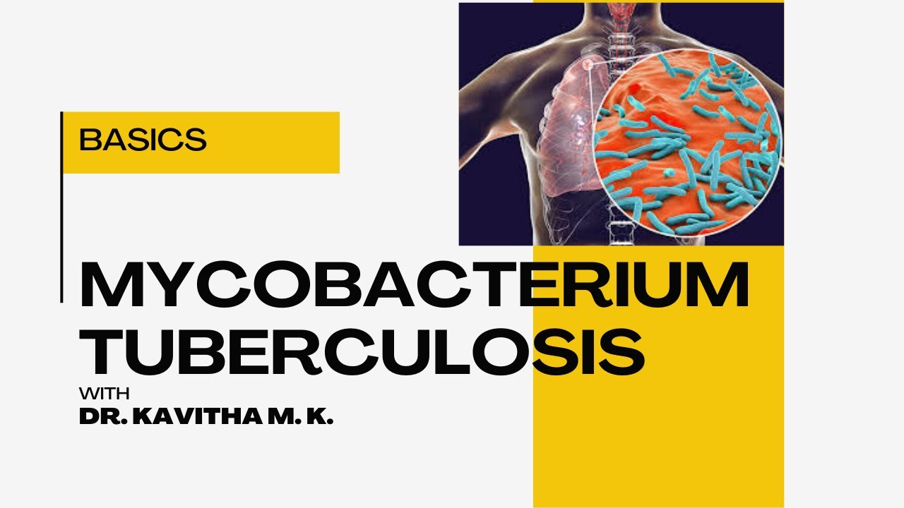 Mycobacterium - Introduction - M. tuberculosis - morphology and ...