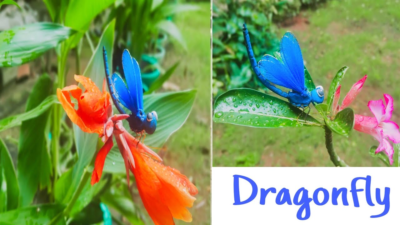 How to Make Dragonfly || Dragonfly Making from Homemade Art Clay ...