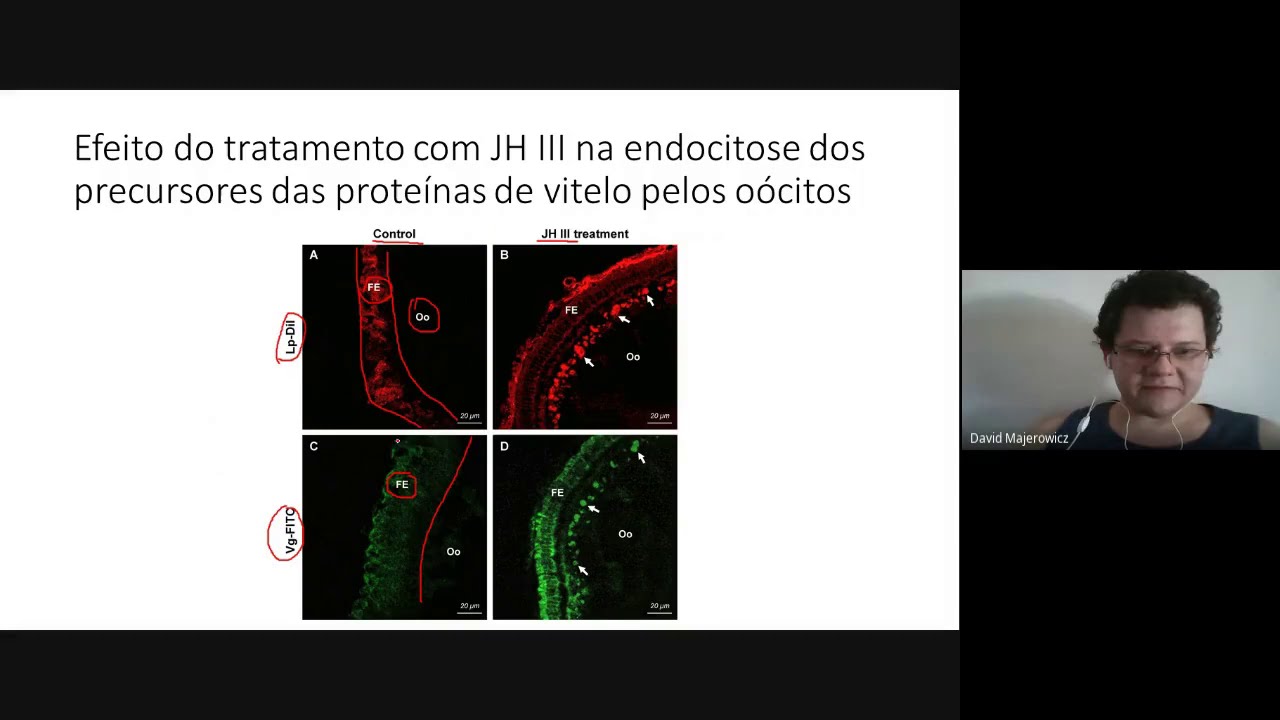 Ramos et al.: Juvenile hormone mediates lipid storage in the oocytes of ...