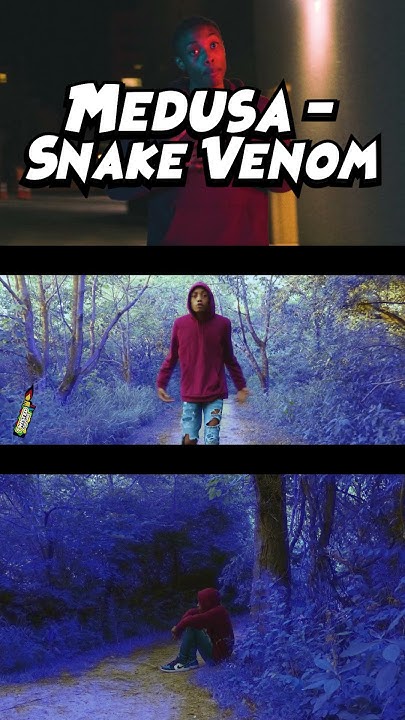 Video Recap 16: Medusa - Snake Venom (Dir. by @wesleydicken) - YouTube