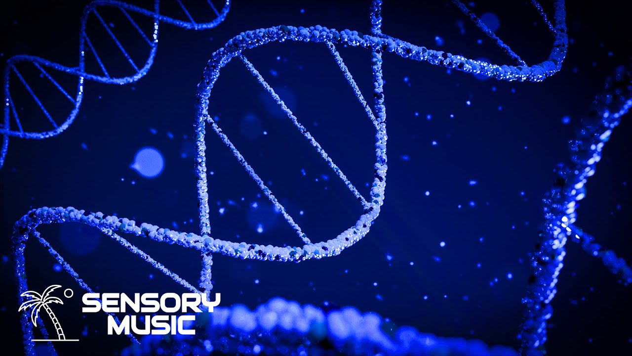 Craig David & Galantis - DNA - YouTube