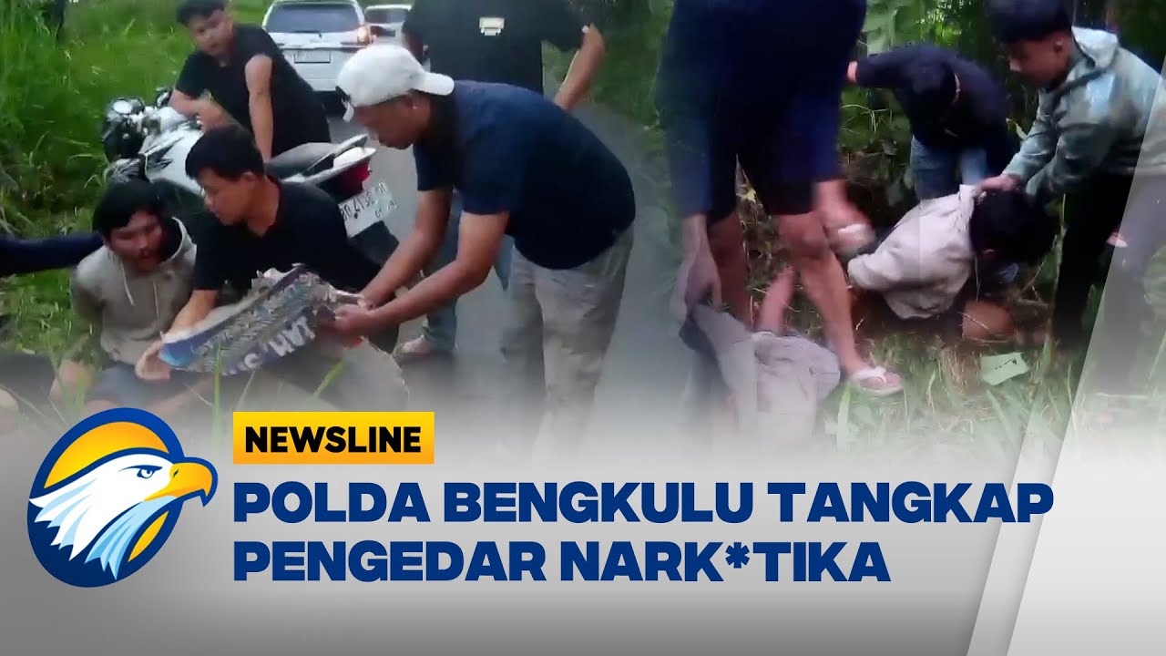 Polda Bengkulu Berhasil Amankan Pengedar Nark*tika - [Newsline] - YouTube