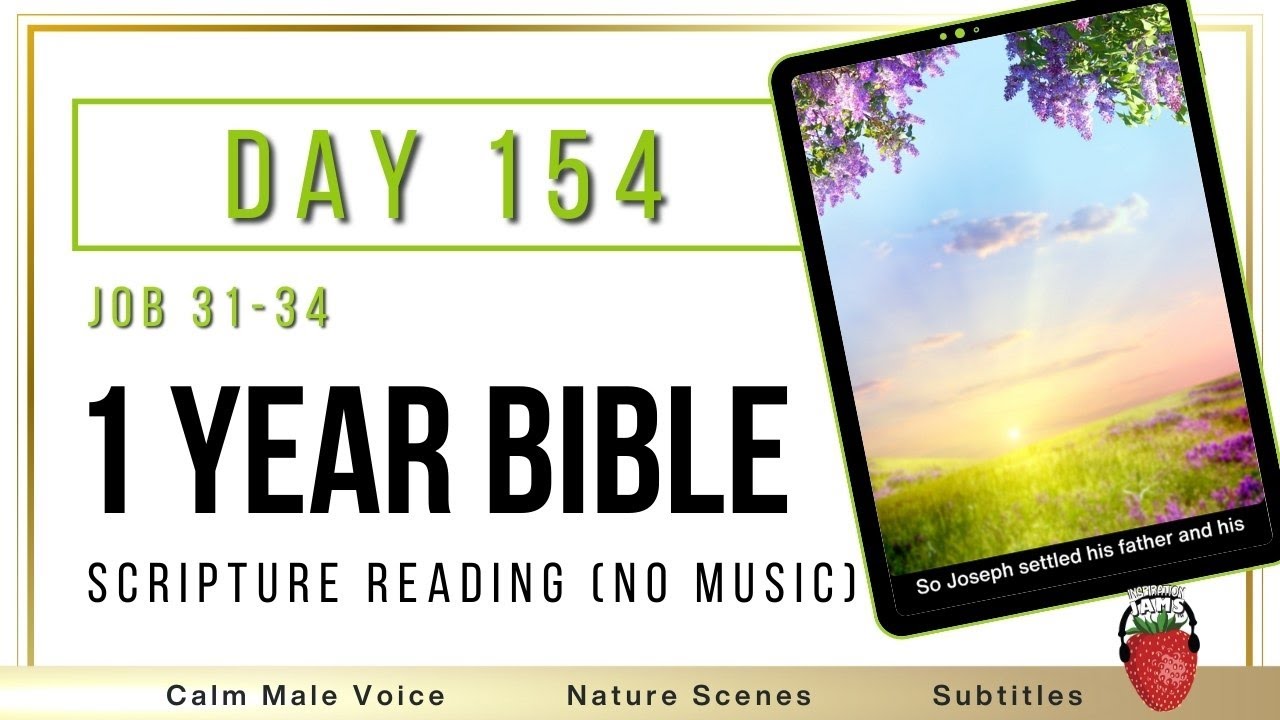 One Year Bible Day 154 | Job 31 - 34 | Audio Bible | NIV - YouTube