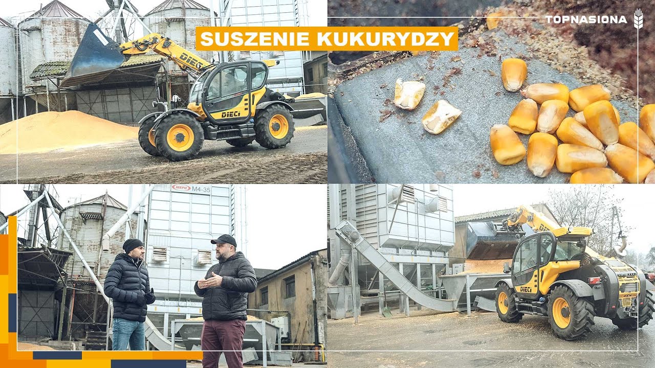 Jak obniżyć koszty suszenia kukurydzy? | Program Suche Ziarno | Top ...