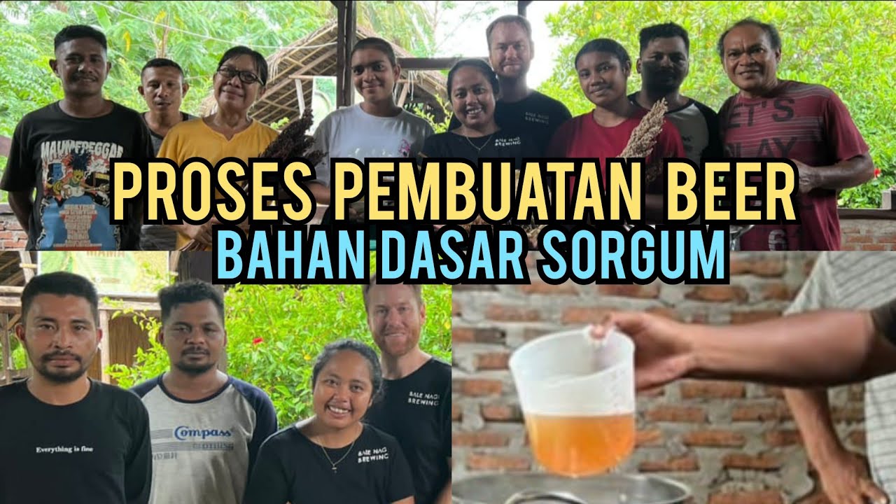 Begini proses pembuatan minuman Beer berbahan dasar Sorgum. Intip Yuk ...
