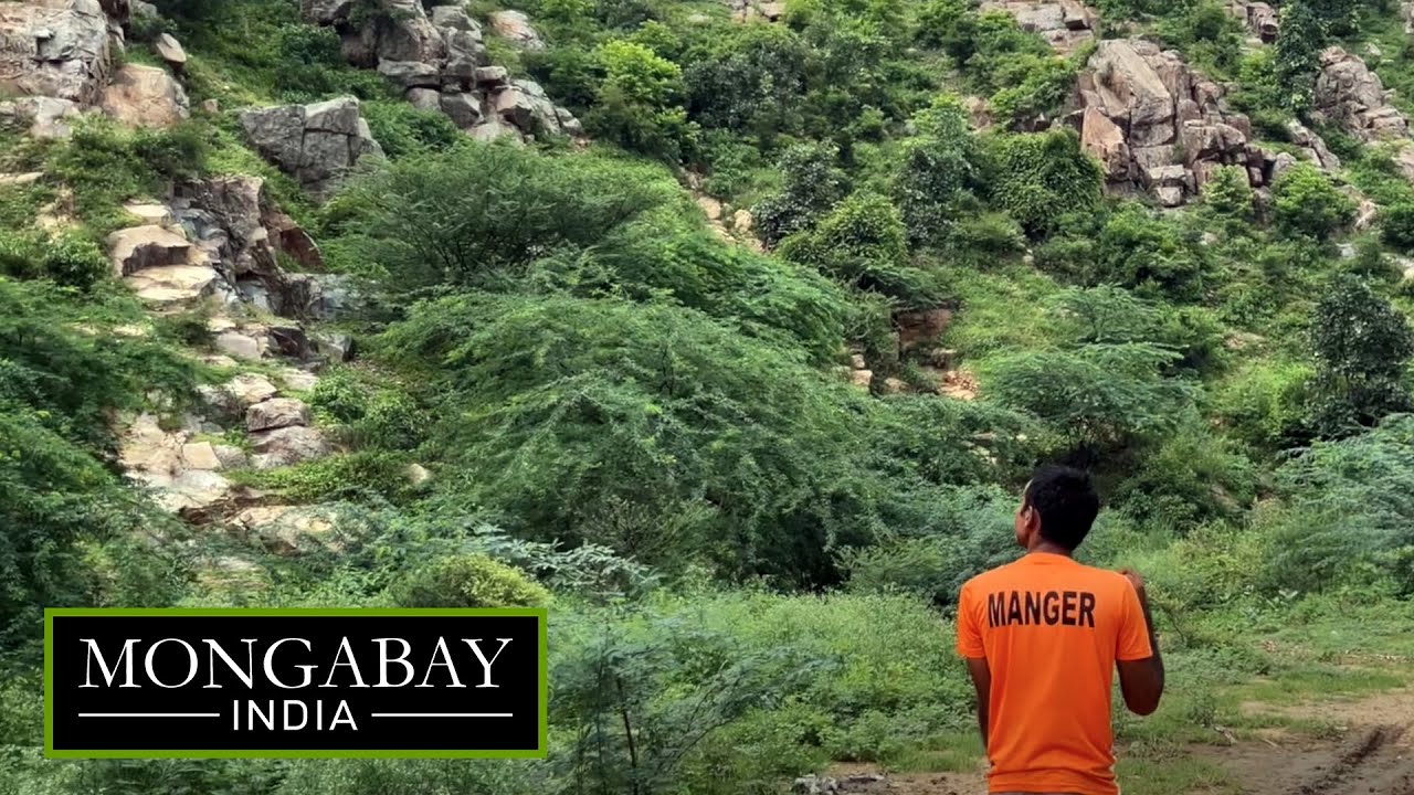 Inside a forest protected for generations: Sacred groves and cave ...