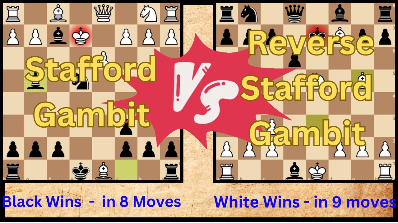 Stafford Gambit vs Reverse Stafford Gambit | Epic Chess Battle Explained! - YouTube
