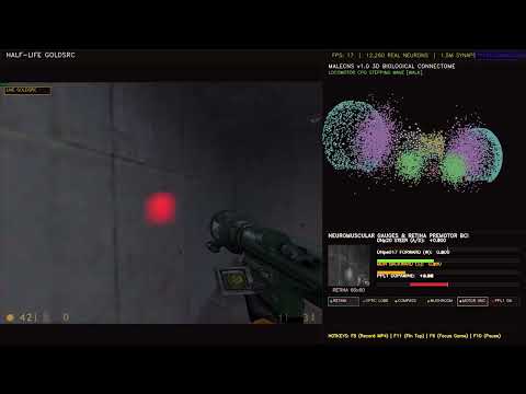 I Put a Real Fruit Fly Brain Into Half-Life...