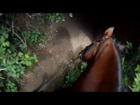 Hack Cam - Part 6 - More Village Trails