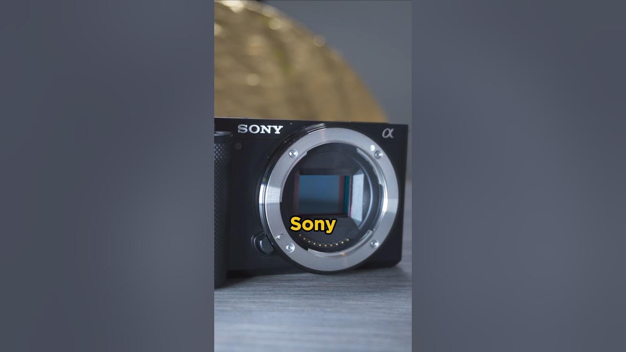 Лучшая камера для новичков, которая снимает как профессиональная - YouTube