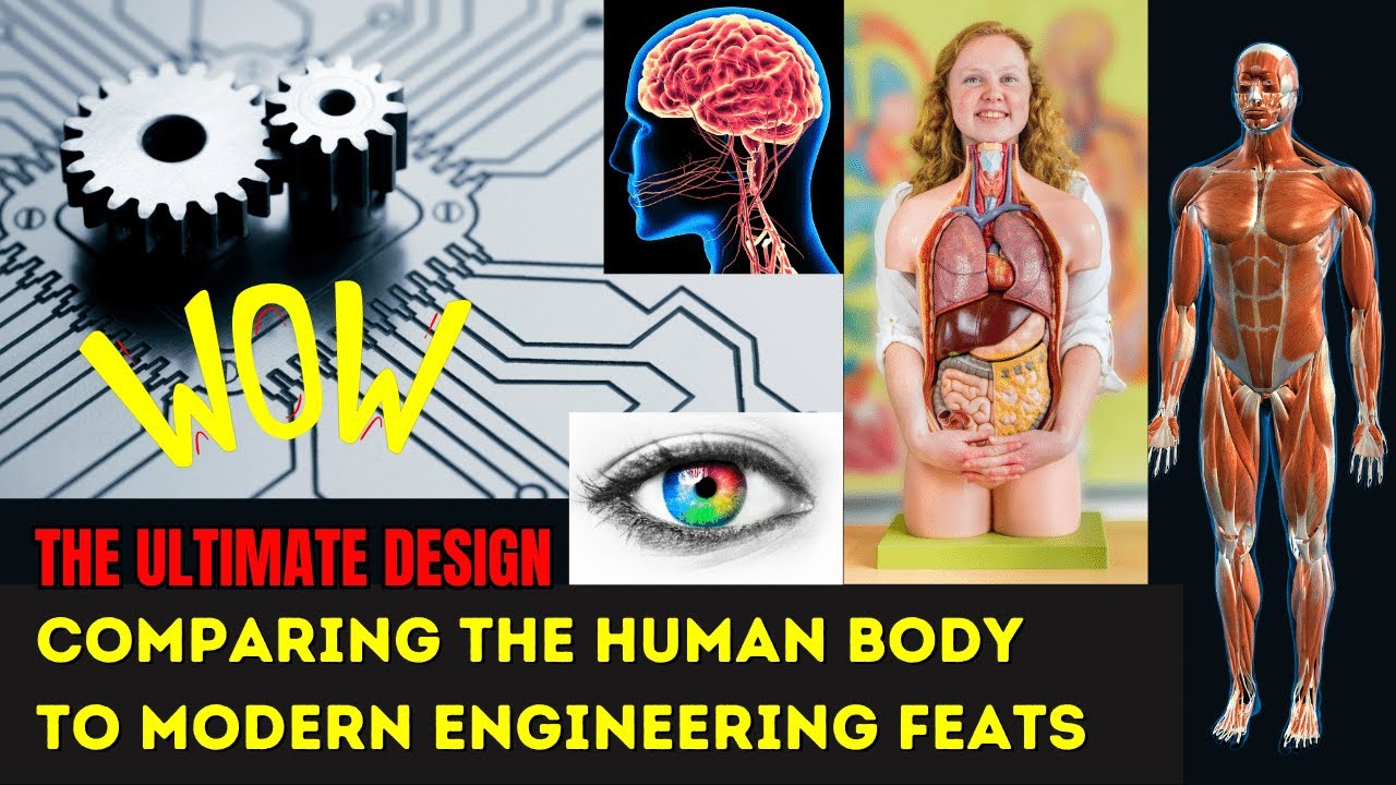 "The Ultimate Design: Comparing the Human Body to Modern Engineering Feats" - YouTube