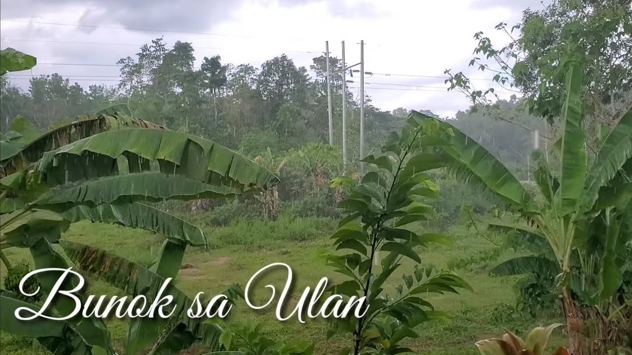 Bunok sa Ulan by KuyaTekboy (original song) - YouTube