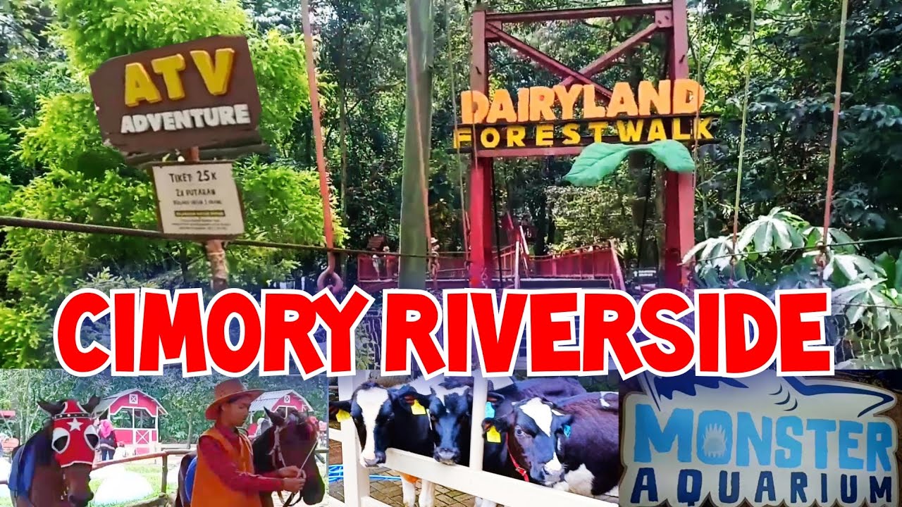 Cimory Riverside || Review Dairyland Forest Walk || Wisata Puncak Bogor ...