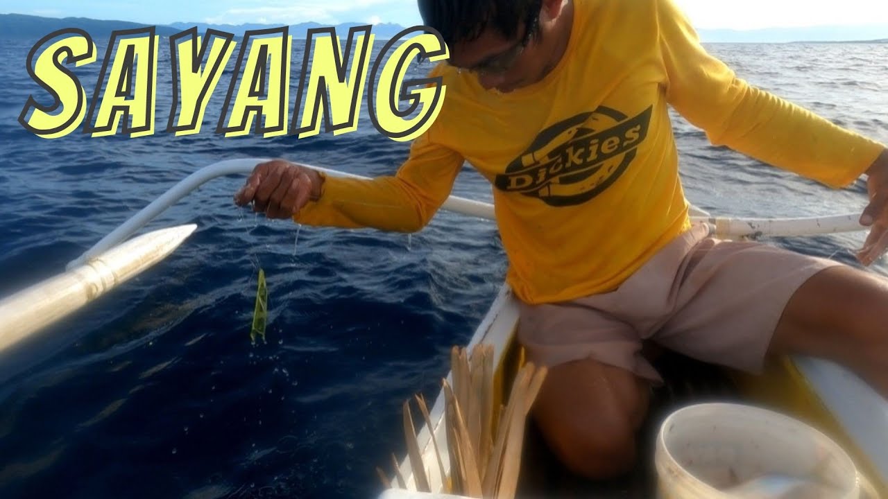 Part 1 Pamamaraan sa paghuli ng isdang matambaka [ Saranggat ] buhay ...