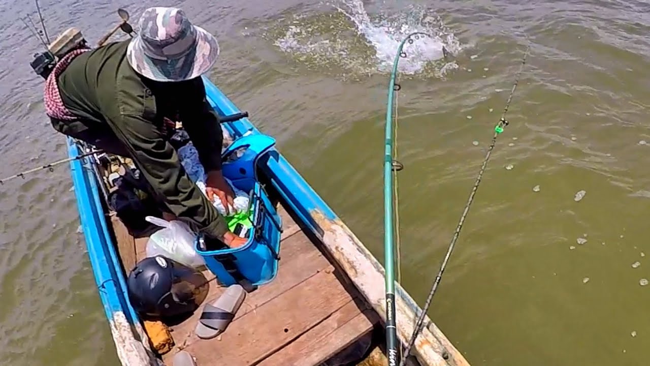 Shark got my bait |Ecoda Rod| - YouTube