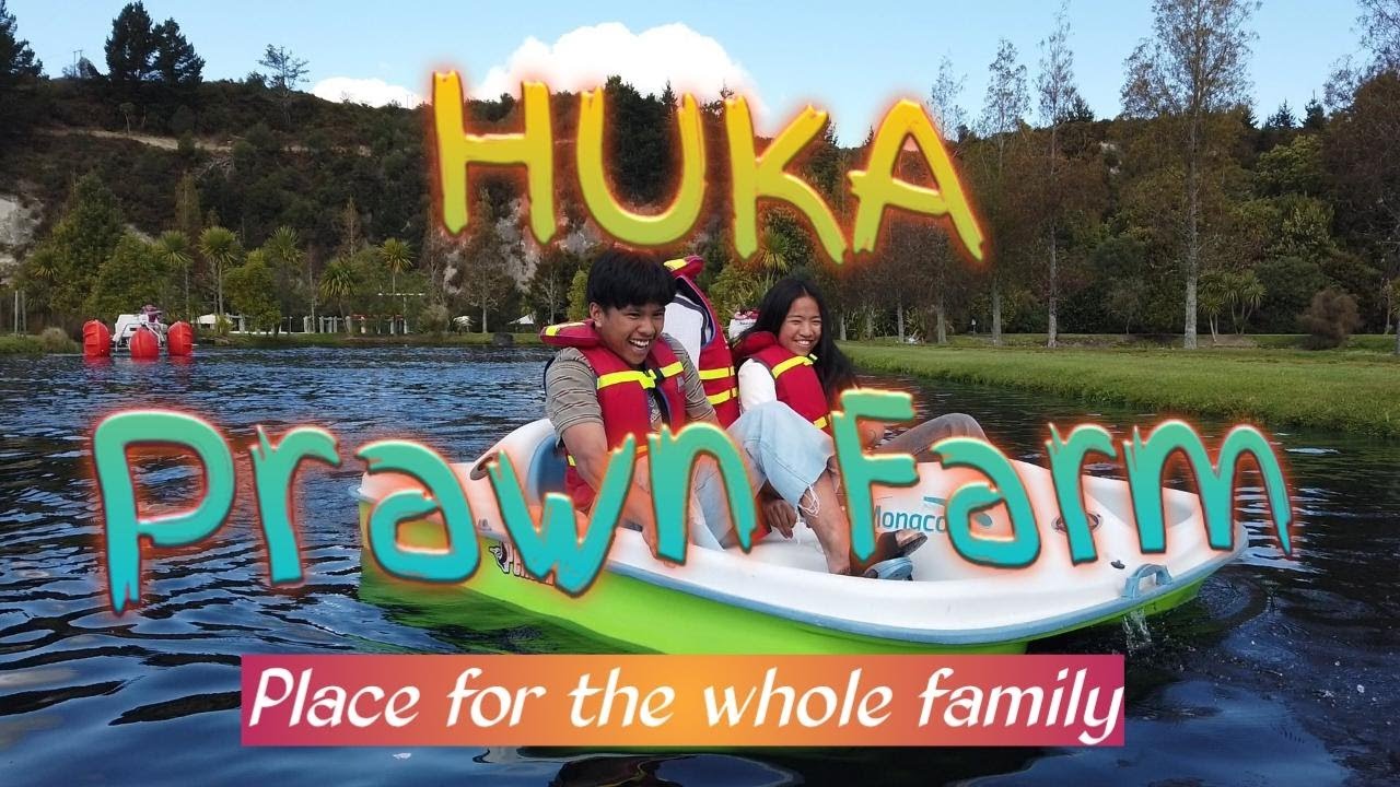 Huka Prawn Park | a nice family day out at Taupo New Zealand - YouTube