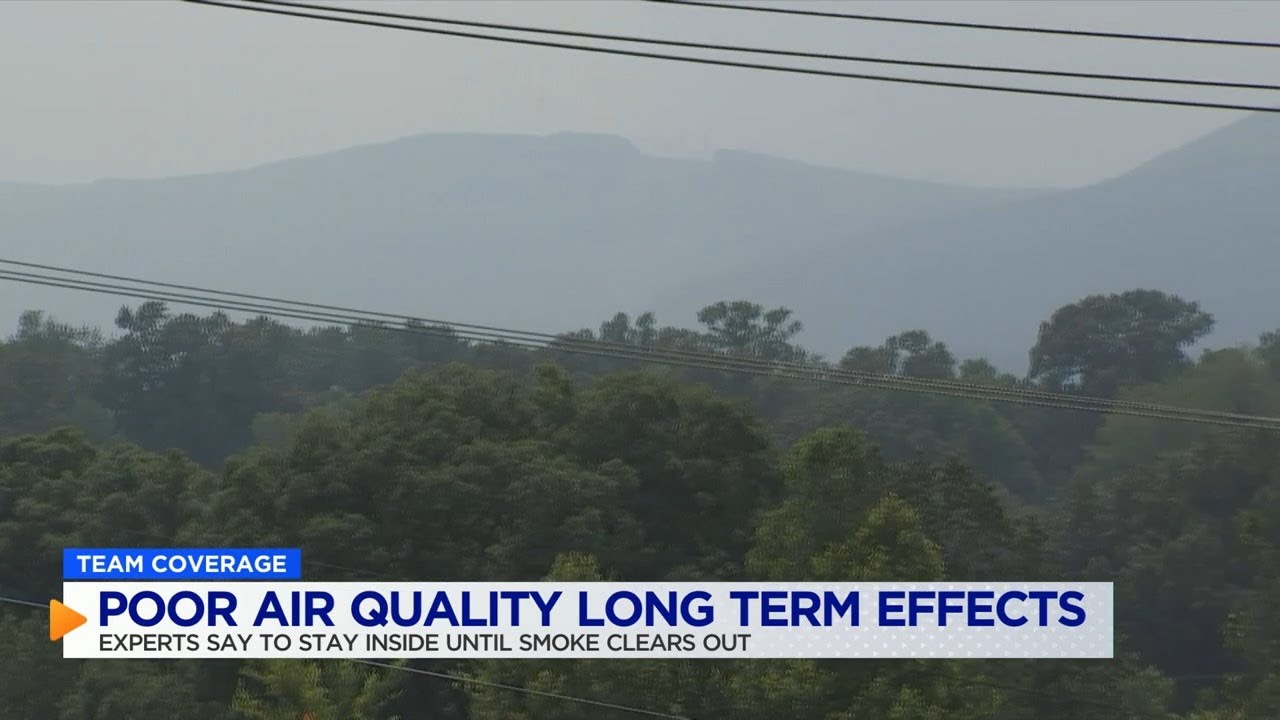 Poor air quality long term effects - YouTube