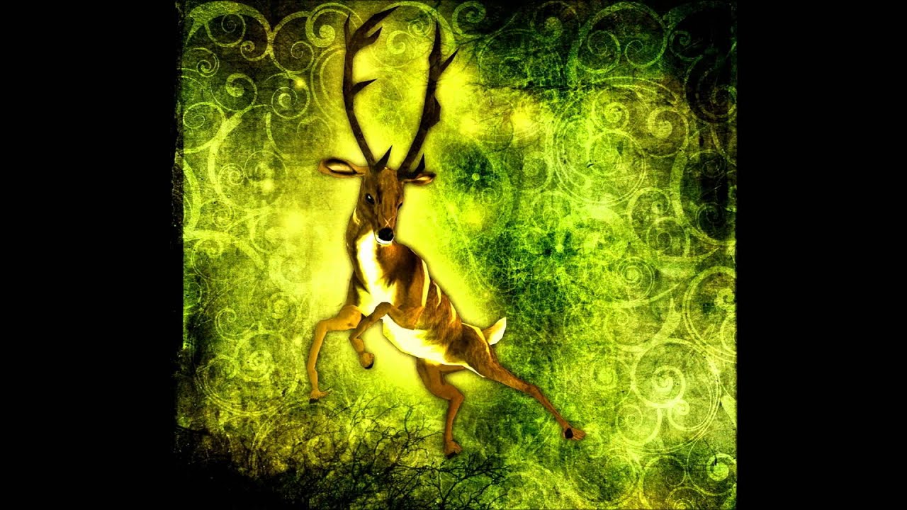 Arokai Pics Preview - YouTube