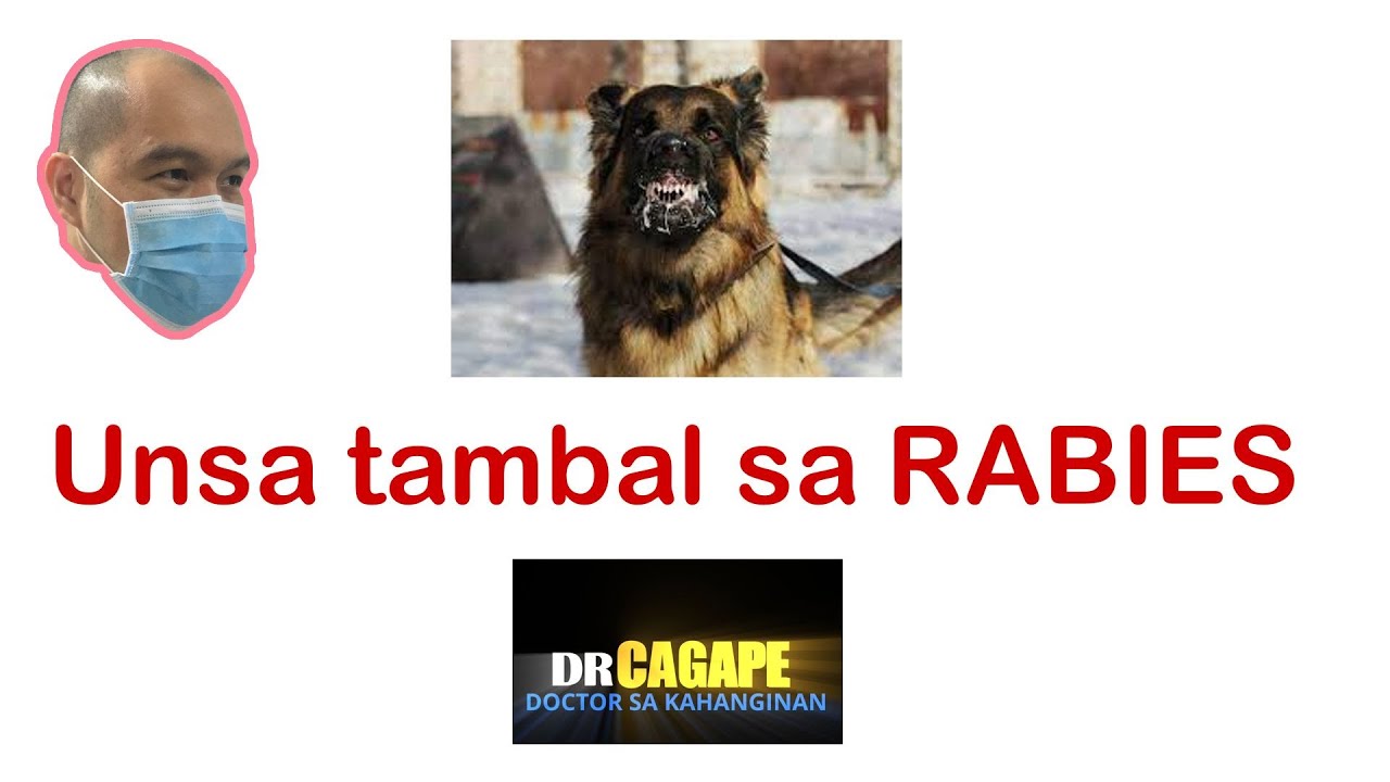 Unsang tambal sa rabies o pinaakan sa iro - YouTube