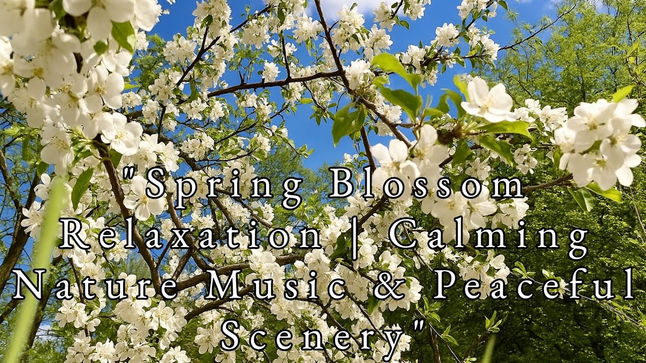 "Spring Blossom Relaxation | Calming Nature Music & Peaceful Scenery ...
