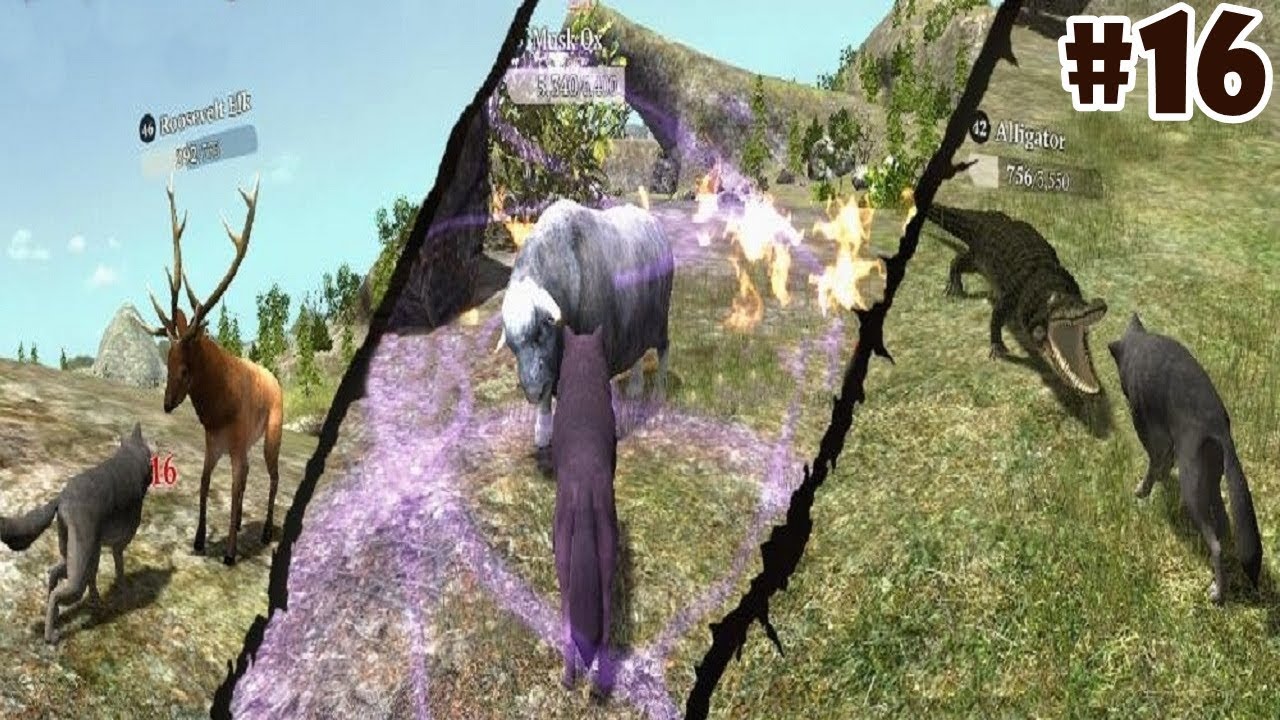 The wolf online simulator guide - mozcouture